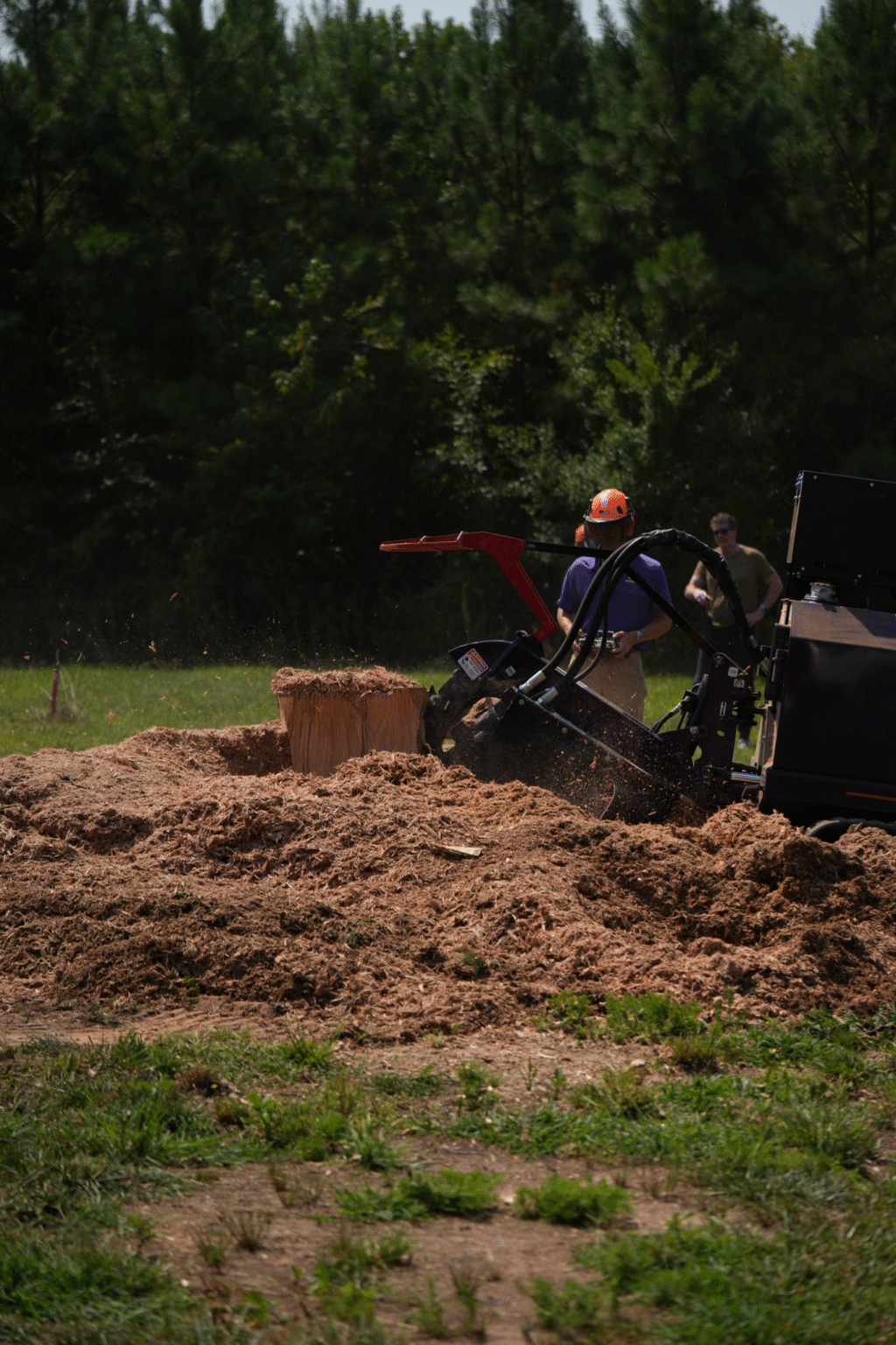 Stumpdaddys | Stump Grinding & Tree Removal Cornelius